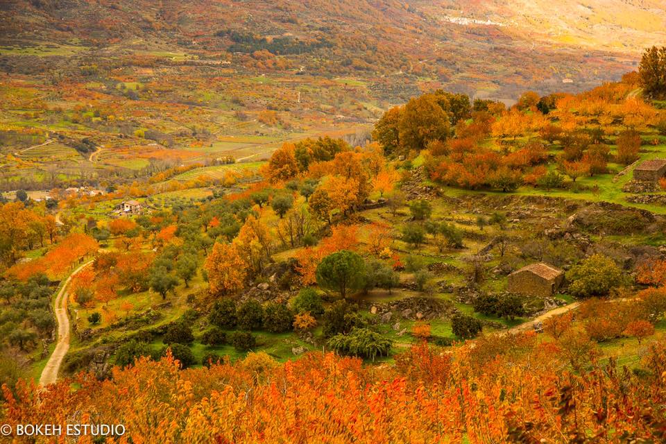 Bungalows Río Jerte, ideal para disfrutar del otoño en el valle